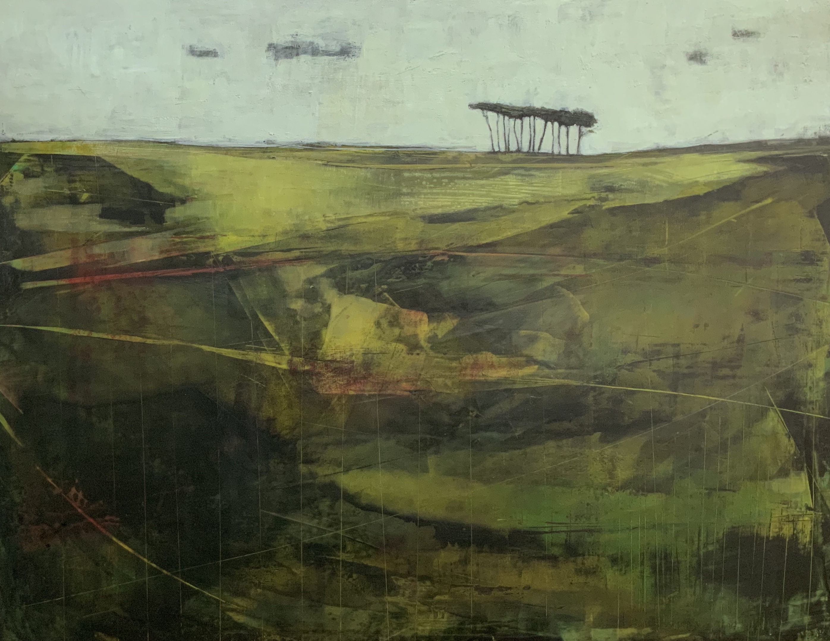 2020 Gallery » Morag Smith Art